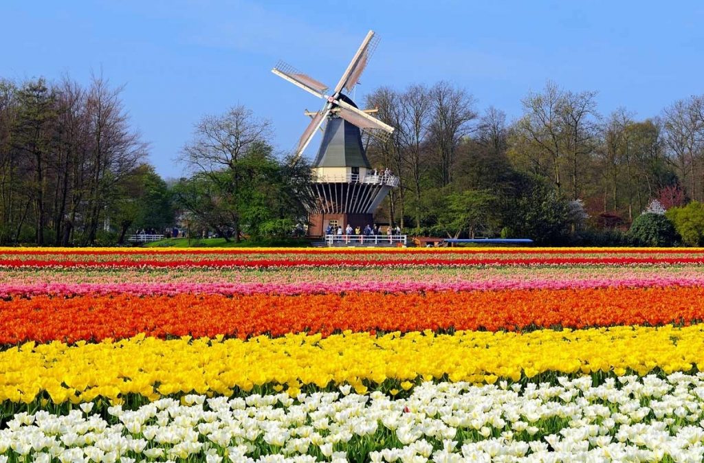 Italia en primavera, donde la belleza tiene un nuevo despertar