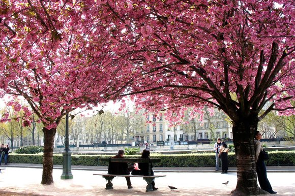 La primavera, la mejor temporada para una escapada a París